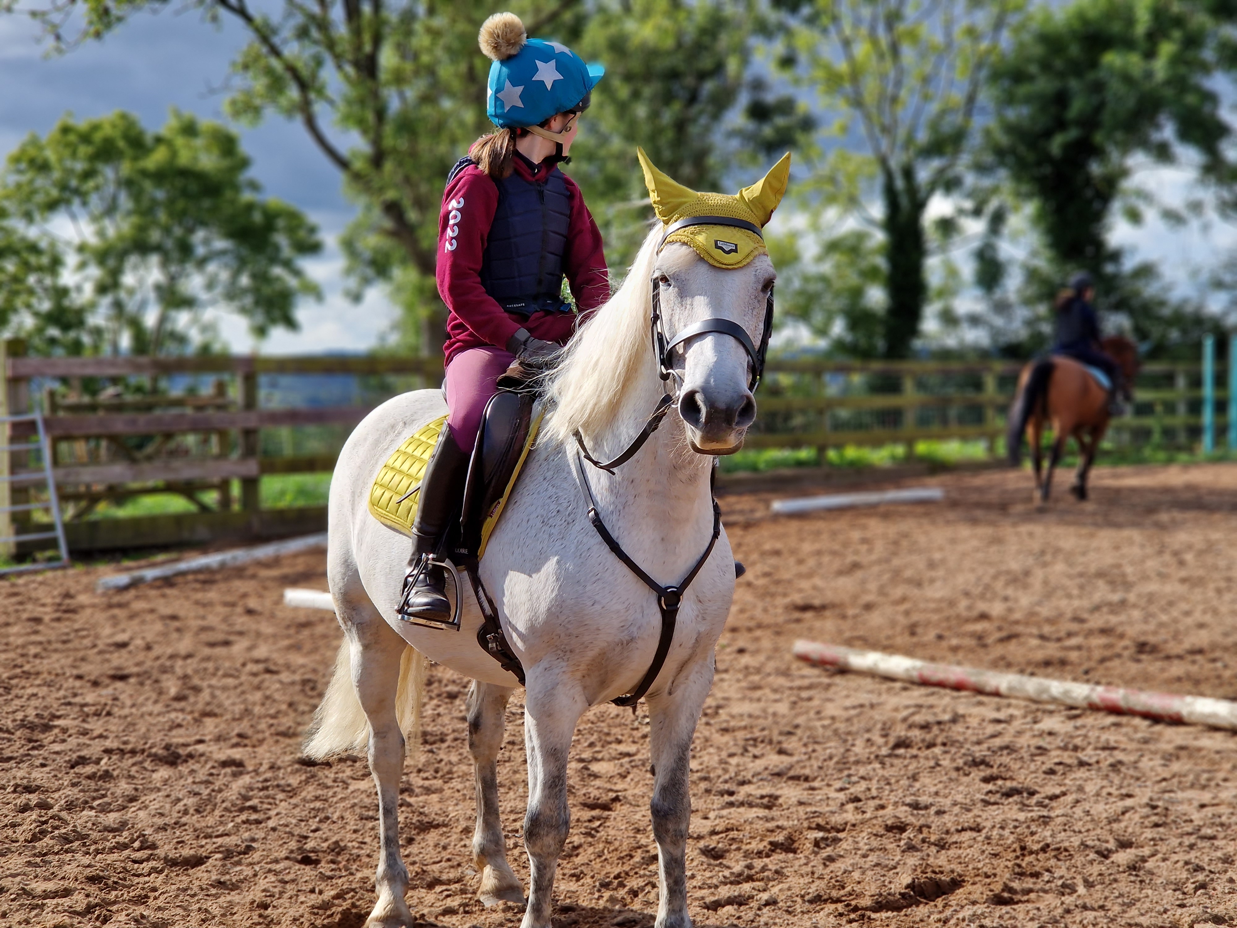 Recognising good riding – Spence Horse Sense