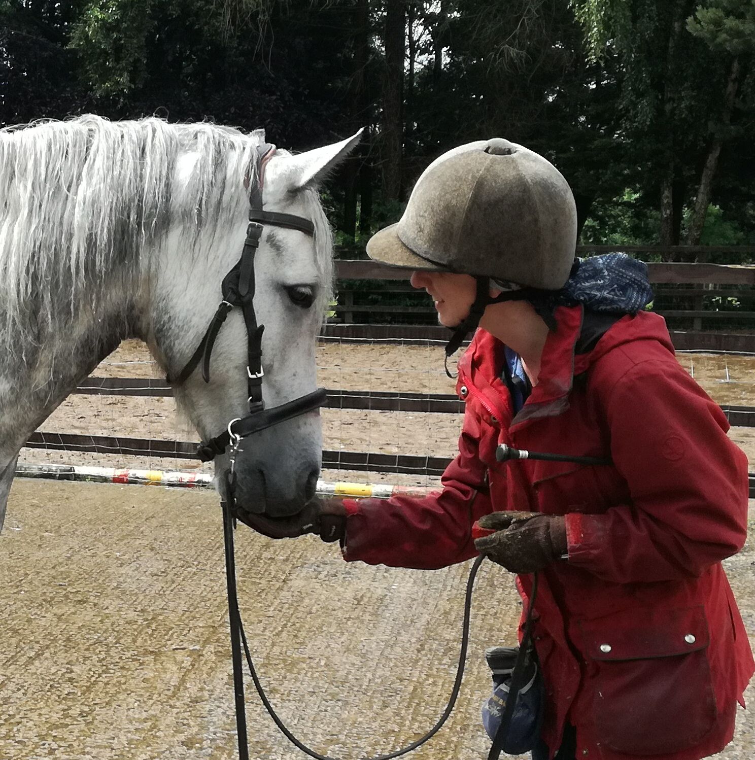 Postural awareness and feel and it’s role in my equestrian life and work – Spence Horse Sense